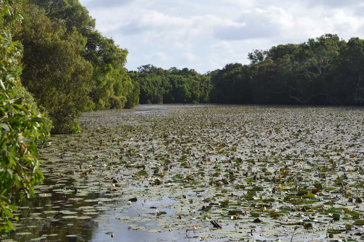 Land where Captain Cook first made contact has been handed back to ...