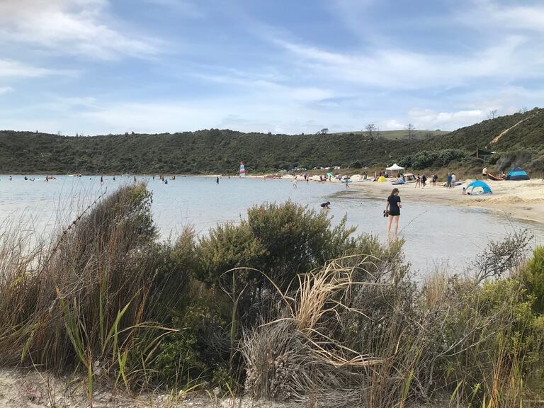 Kaipara leader urges Kai Iwi Lakes closure to protect against gold clam ...