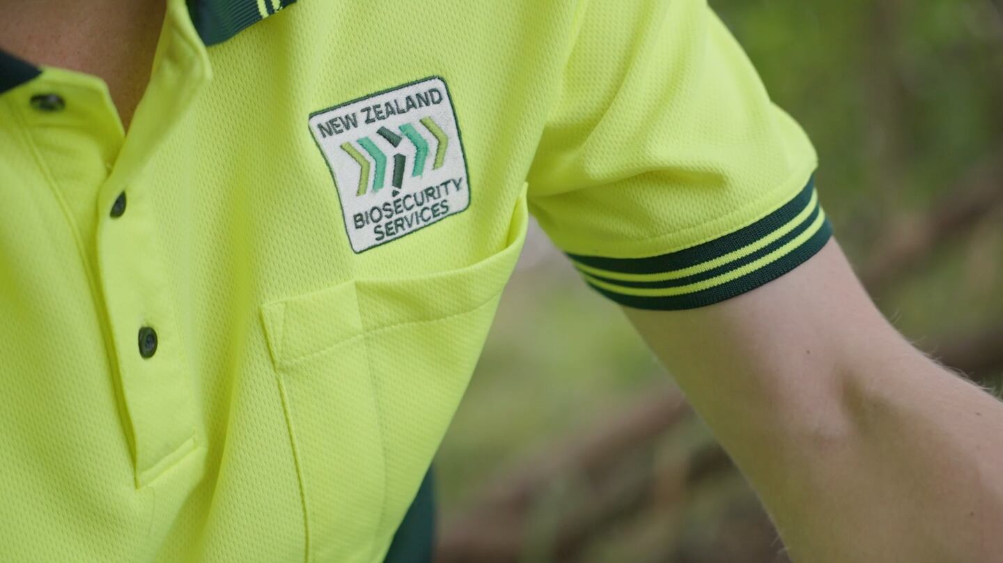 Bird flu: 130 NZ biosecurity jobs at risk despite worrying global ...